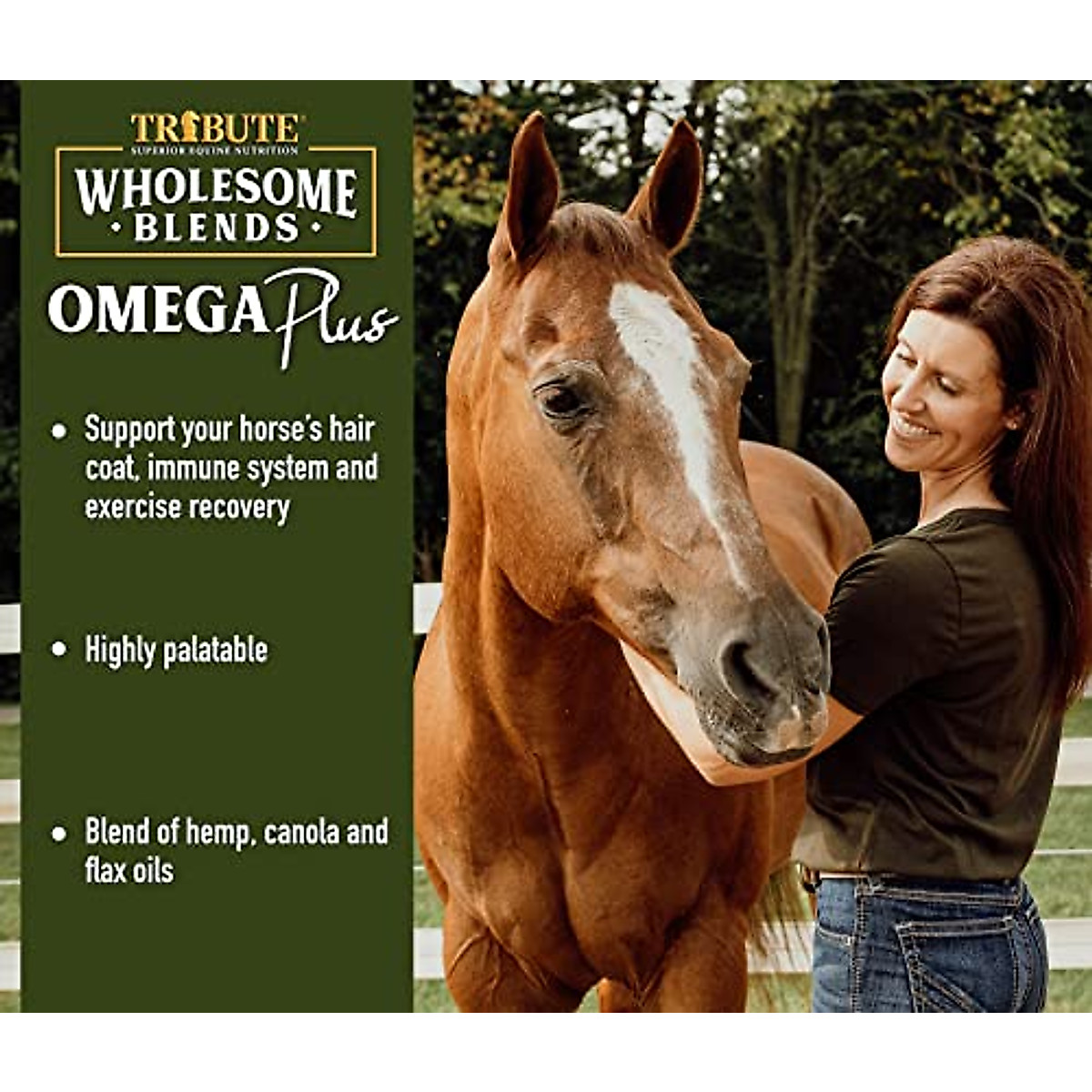 Wholesome Blends Omega Plus Oil Supplement for Horses, 1 Gallon