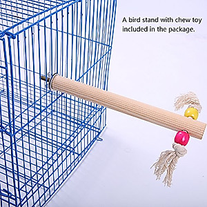 QBLEEV Parakeet Perches Outside Cage, Bird Swing Conure Toys Table Cage Top Play Stand Parrot Climbing Ladder Rope Perches Stands Chewing Wood Play Gyms Playground for Cockatiel Lovebirds Finches