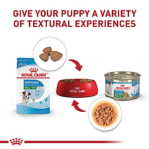 Royal Canin Size Health Nutrition Small Puppy Thin Slices in Gravy Wet Dog Food, 5.1 oz 24-Pack