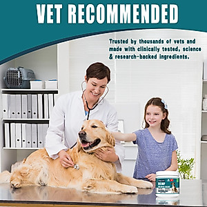 Hemp Calming Chews for Dogs - All-Natural Soothing Snacks for Stress & Dog Anxiety Relief, Dog Melatonin Calming Treats - Helps Aid with Thunderstorms, Separation, Stress Relief & Barking(120 Chews)