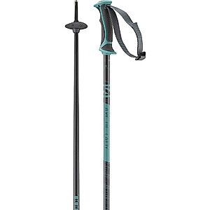 Salomon Arctic Lady Ski Poles - 100