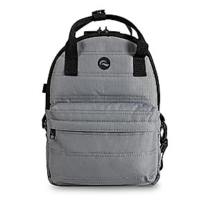 Skunk Raven Backpack (Platinum Gray)