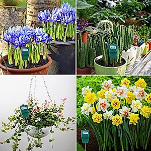 IUSEIT Soil Moisture Meter,Soil Hygrometer for Plants, Soil Water Gauge Meter Indoor Outdoor, Soil Moisture Sensor for Garden, Lawn, Farm Plants Care(Green)