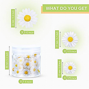 Hicarer 50 Pieces Flatback Resin Daisy Flowers Daisy Flower Epoxy Charms Mini Decorated Daisies Artificial with Storage Box for DIY Craft Cloth Pen Box Home Decoration, 3 Sizes (White and Yellow)