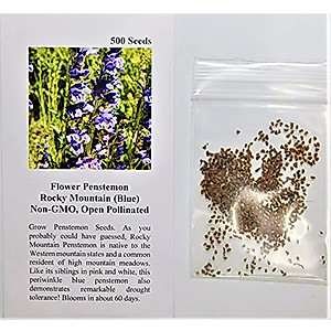 David's Garden Seeds Flower Penstemon Rocky Mountain 1124 (Blue) 200 Non-GMO, Heirloom Seeds