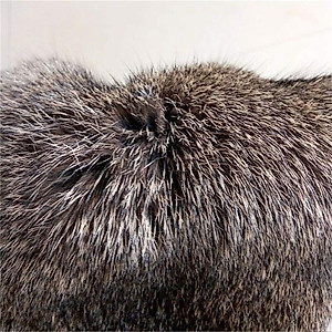 Natural Yellow Tan Rabbit Fur Pelt Hide (10" by 14" with Sewing Quality Leather - Soft Professionally Tanned Craft Grade 1PCS