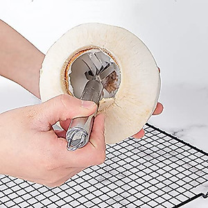 11 Pieces Coconut Opener Tool Set, Include 1 Coconut Opener Tool with Black Rubber Handle, 1 Stainless Steel Coconut Meat Removal Knife, 1 Straight St, 2 Bent Sts, 1 Cleaning Brush and 1 Bag