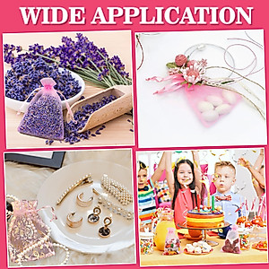 Sukh 100 Pink Organza Bags 4"x6" - Small Organza Sachet Jewelry Gift Favor Bags Drawstring Mesh Bags Gifts Valentines Wedding Eve Christmas Wrap