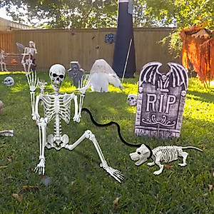 Lodou 5.4Ft Posable Life Size Human Adult Skeletons with Dog Skeleton, Plastic Human Bones with Movable Joints for Halloween Decoration