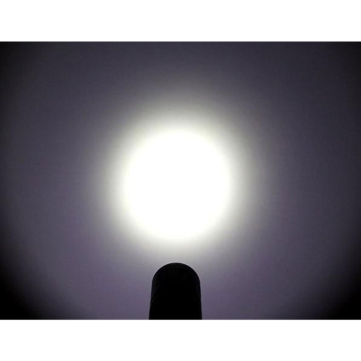 Terminator Stun Gun Ultra Powerful Flashlight Stun Gun With Bright LED Flashlight Heavy Duty Rechargeable