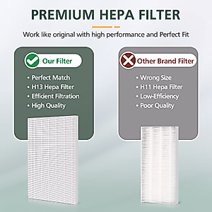 isinlive 115115 Replacement Filters A Size 21 for Winix PlasmaWave 5300-2, C535, 6300, 5300, 6300-2, P300, AM90, 9000, 5000, 5000B, C909, 9800 Air Purifier, 1 True HEPA Filter + 4 Carbon Pre-Filters
