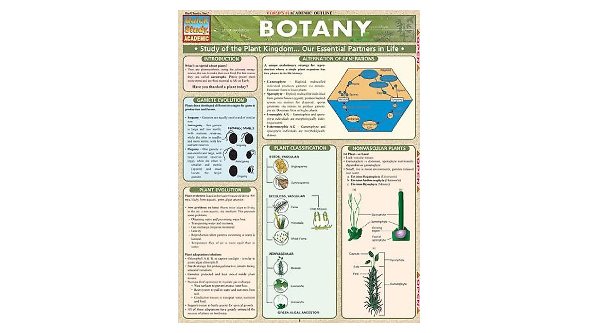 Botany Study Chart | Learn Plant Life Cycles and Ecosystems