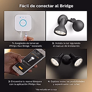 Philips Hue Ludere White Outdoor Security Light, Outdoor Wall Fixture & 2 Hue PAR38 LED Smart Bulbs (Requires Hue Hub, Works with Alexa and More)