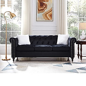 Melpomene Black Velvet Living Room Loveseat Sofa with Button Tufted Nailhead and 2 White Villose Cushions (2 seat)