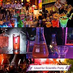 Labvida 6pcs of Narrow Mouth Glass Erlenmeyer Flasks, Vol.150ml, 3.3 Borocilicate with Printed Graduation, LVC002