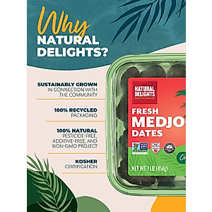 Natural Delights Organic Medjool Dates – Large & Plump USDA Certified , Non-GMO Verified, Good Source of Fiber, Naturally Sweet Fruit Snack, Perfect for On-the-Go - Whole Medjool Dates Organic, 1 lb oz Container