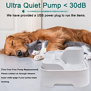 LIONROGE Cat Water Fountain, Ultra Silent Cat Fountain 2.8L/94oz, with LED Light, Activated Carbon Filter