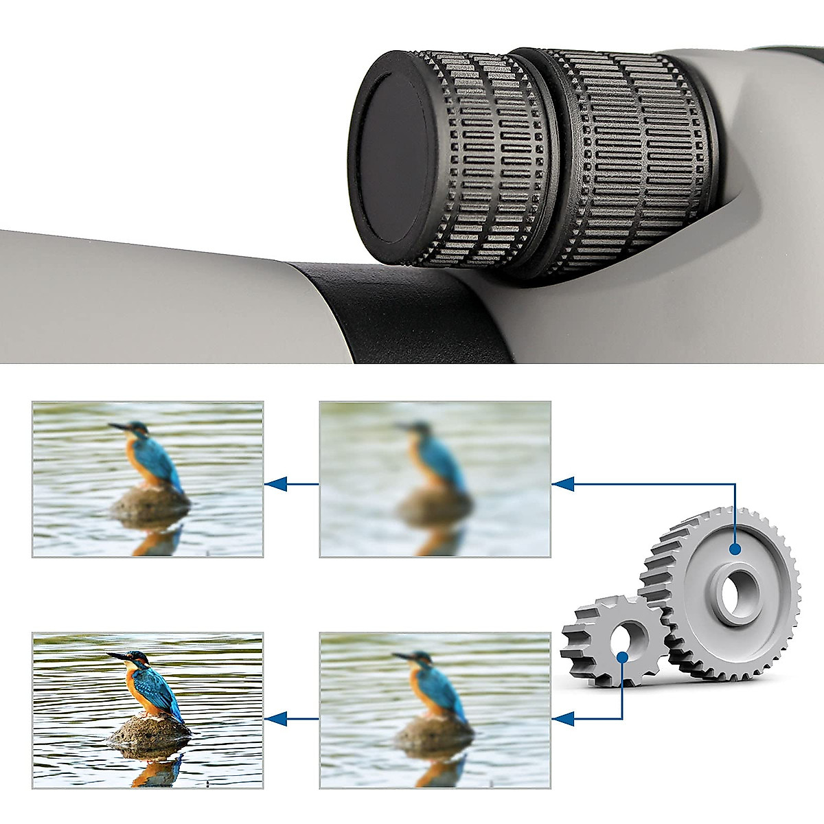 LANDOVE 20-60X80 Spotting Scopes, Dual Focus BAK4 HD Optics Spotting Scope with Carrying Bag and Large Phone Adapter for Hunting, Target Shooting, Archery, Bird Watching Bonus a Table Tripod