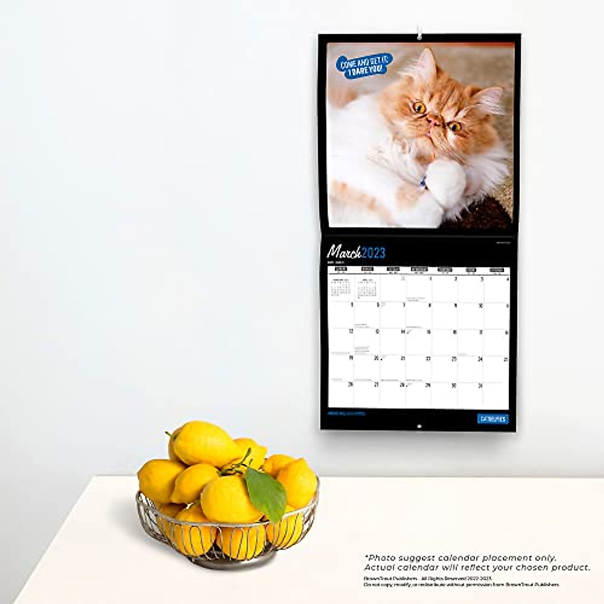 Cat Selfies | 2023 12 x 24 Inch Monthly Square Wall Calendar | BrownTrout | Pet Humor Kitten Feline