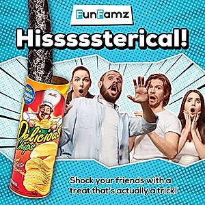 The FunFamz Original Snake in a Potato Chip Can Prank-Funny Classic Snake in a Can Prank for Kids, Snake in a Can Trick Gag Gift Toy & Scary Shock Snake Trick, Spring Snakes Prank, Red Potato Chip Can