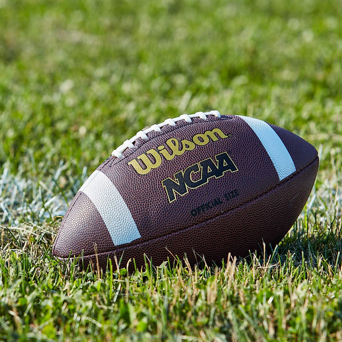 Wilson NCAA Composite Football - Youth Size, Brown