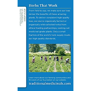 Traditional Medicinals Tea Cinnamon Stress Ease Organic, 16 Count