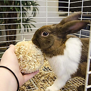 Ware Manufacturing Natural Corn Leaf Ball Toy for Small Pets, Large