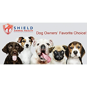 Antimicrobial Toothbrush for Dogs – Professional Dental Care at Home – Fight Plaque and Tartar - Improve Oral Health – Anti-Slip Handle and Ergonomic Design – Individually Packed - Quality Guaranteed