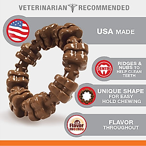Nylabone Power Chew Textured Dog Chew Ring Toy - Tough and Durable Dog Chew Toy for Aggressive Chewers - Flavor Medley, Small/Regular (1 Count)