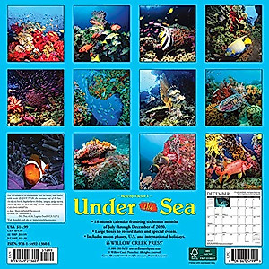 Under the Sea 2021 Wall Calendar