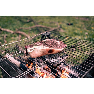 DesignNest, FoldingFire BBQ Grill, Foldable, Portable Firepit with Stainless Steel Cooking Grate, Campfire, Outdoor Fire Pit, Bonfire, Backyard Fireplace, Carrying Bag Included, Medium, Black