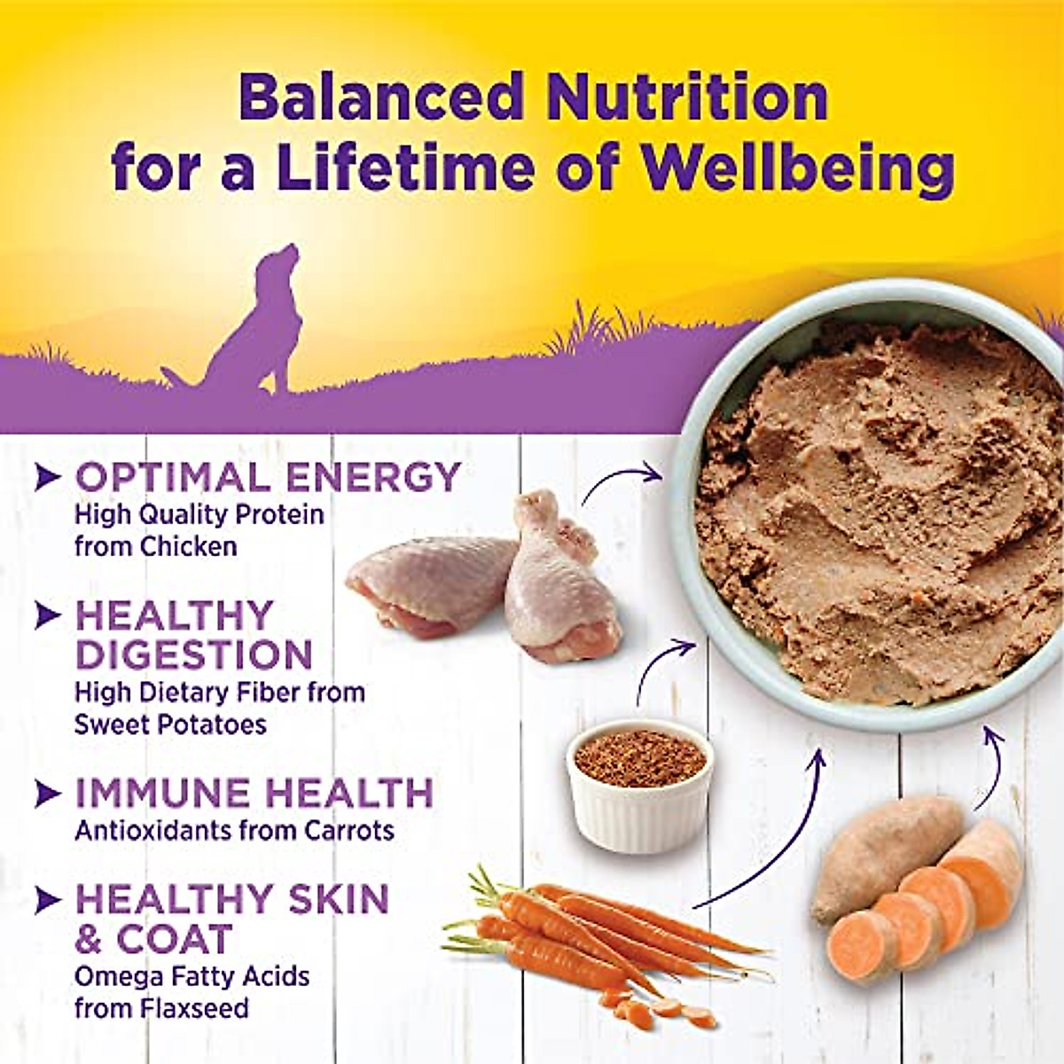 Wellness Complete Health Natural Wet Canned Dog Food, Senior Chicken & Sweet Potato, 12.5-Ounce Can (Pack of 12)