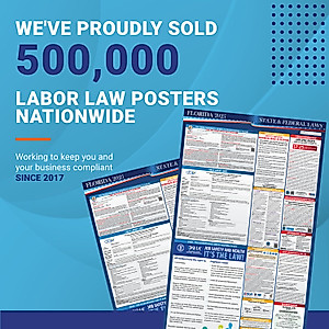 2025 Florida State and Federal Labor Law Poster - OSHA Workplace Compliant - Mandatory Regulations Posting for Employees - Required Compliance Posting 16" x 40" Laminated (1PACK)