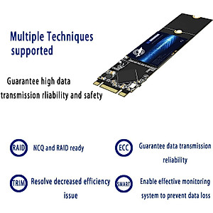 Dogfish SSD SATA M.2 2280 128GB Ngff Internal Solid State Drive High Performance Hard Drive for Desktop Laptop SATA III 6Gb/s (M.2 2280,128GB*10 Pack)