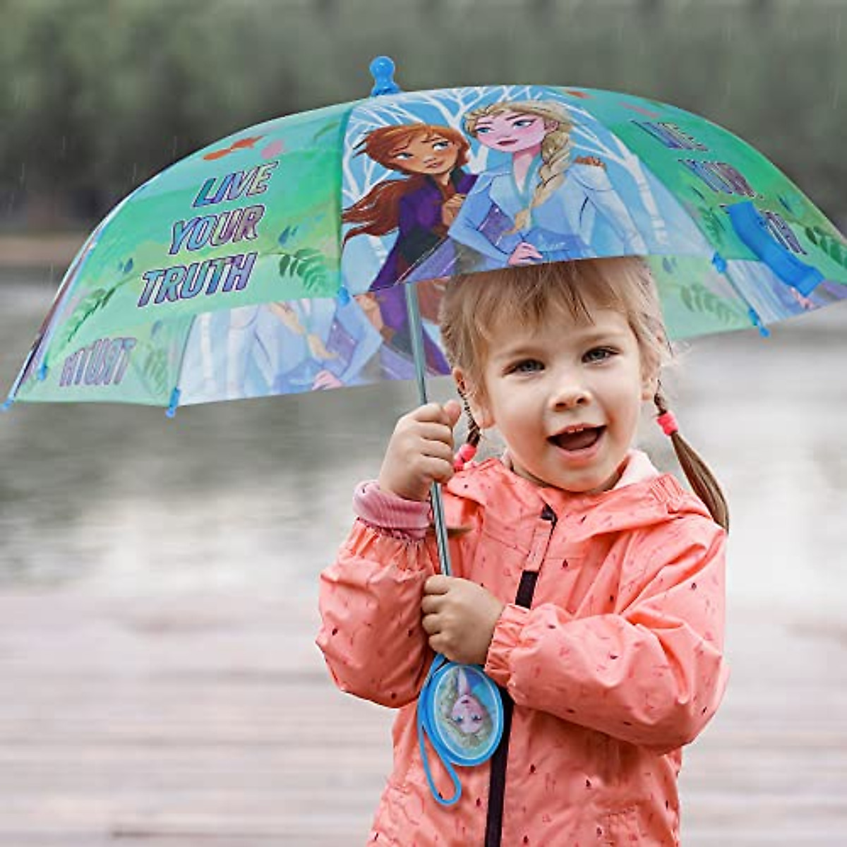 Disney Kids Umbrella, Frozen/Princess/Minnie Mouse Toddler and Little Girl Rain Wear for Ages 3-6 Umbrella, Frozen, 7-Mar US