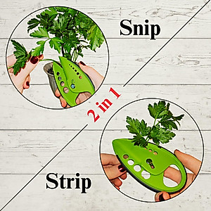 TEN73 - Herb Stripper, 10 holes Kitchen Herbs Leaf Stripping Tool, Adjustable and Lockable Cutter Blade, Peeler for Kale, Collard Greens, Thyme, Basil, Rosemary, Herb Stripper/Cutter