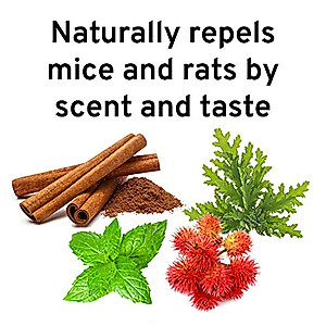 Victor M809 Mouse and Rat Repellent Natural Non-Toxic Spray for Indoor and Outdoor Use Ready to Use – 32 fl oz