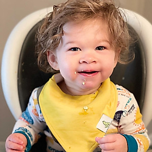 Quinton Bradley Baby 4 Pack Bandana Drool Bib Basics Solid Color (Pink)