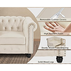 Morden Fort [2-Year-Service] Sofa Couch [No Sagging] Velvet Couch 24'' Deep Seat Comfy Couches for Living Room Sofas Firm Soft Velvet Sofa Pet-Friendly Chesterfield Modern Sofa Beige
