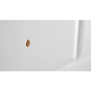 BOSCH DDB14 1/4 in. Diamond Drill Bit for Dry Drilling Applications in Porcelain and Natural Stone Tile