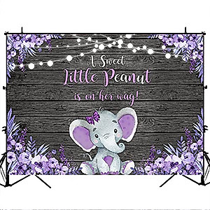 Avezano Purple Elephant Baby Shower Backdrop Rustic Lavender Floral Little Elephant Baby Shower Background A Sweet Little Peanut is on The Way Banner Decorations (7x5)