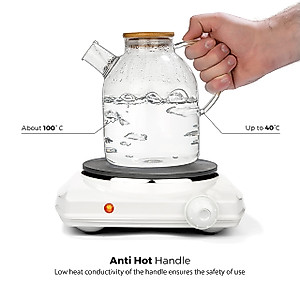 Tealyra - Glass Stove-top Kettle 60-ounce - Teapot - Heat Resistant Borosilicate - Pitcher - Carafe - No-Dripping - For Tea Juice Water - Hot or Iced - 1800ml