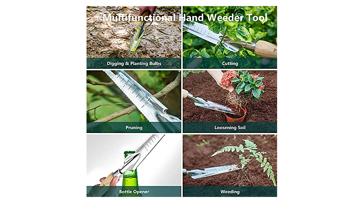 Berry&Bird Garden Tool Set - 4 PCS Stainless Steel Gardening Kit