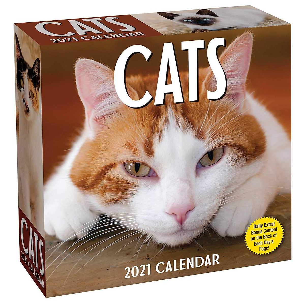 Cats 2021 Day-to-Day Calendar