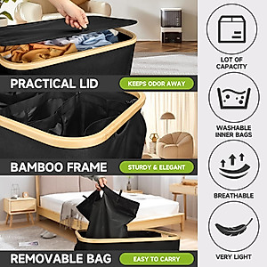 Zomhusea Laundry Hamper with Lid, 42 Gal (160L) Extra Large Laundry Sorter 3 Sections with 3 Laundry Bags, Collapsible Laundry Baskets, Portable Clothes Hampers Organizer for Laundry, Bedroom, Dorm