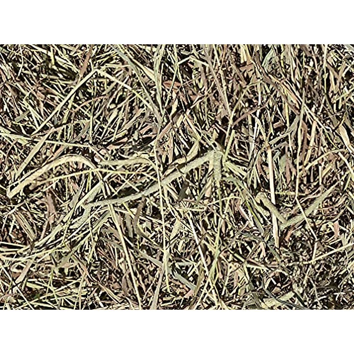 FPS Fox Peak Timothy Hay Rabbits, Guinea Pigs, Chinchilla Food (10+ lb.)