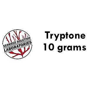Tryptone (Pancreatic Digest of Casein) - 10 Grams