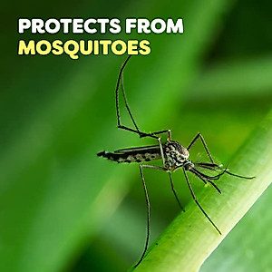 OFF!. S C Johnson Country Fresh Scent Mosquito Coil III Refills, 6 Refills (Pack of 6)