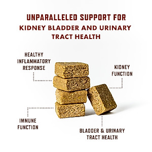 Rocco & Roxie Dog Glucosamine Hip and Joint & Urinary Tract Supplements Bundle