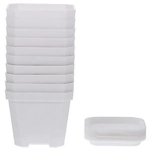 10pcs Flowerpots Saucers Cuttings Starting Seeding Plant Black Desktop Little Decor Room for Seeds Tray Flowerpot Drainage Vegetables Bonsai Containers Ith Seedlings Plastic